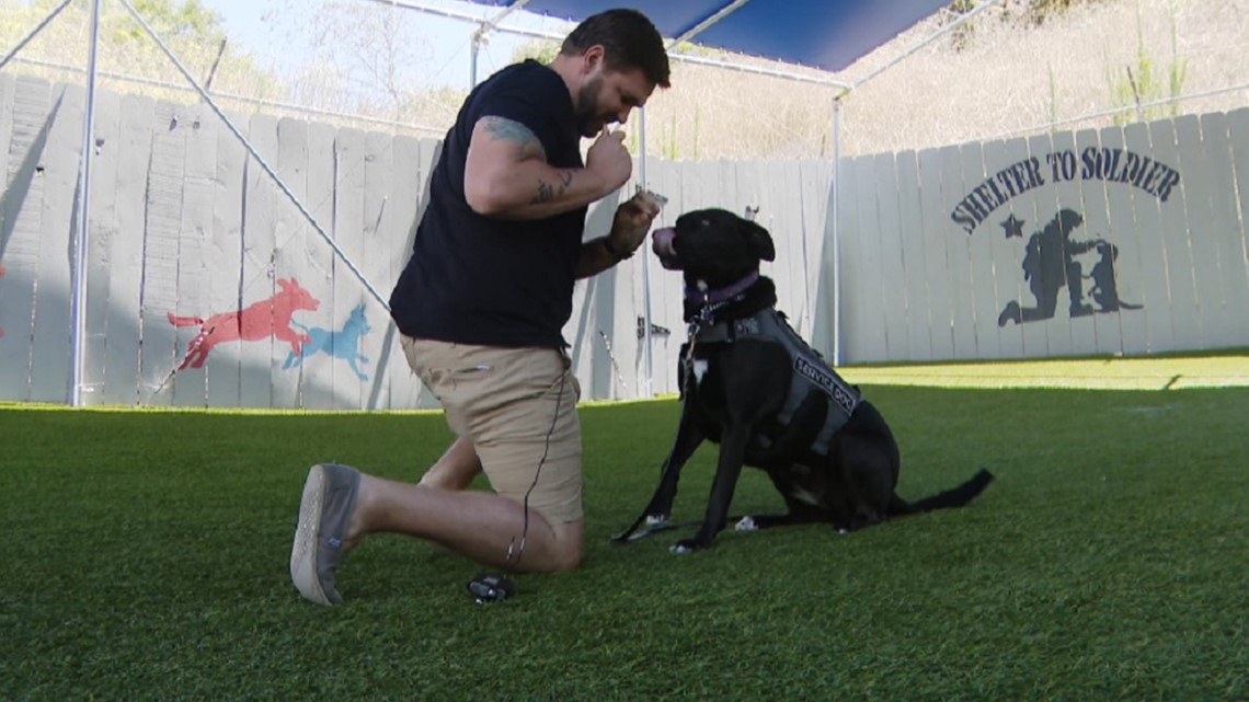 Dog Tags: Service dog changes Navy vet's life for the better | cbs8.com