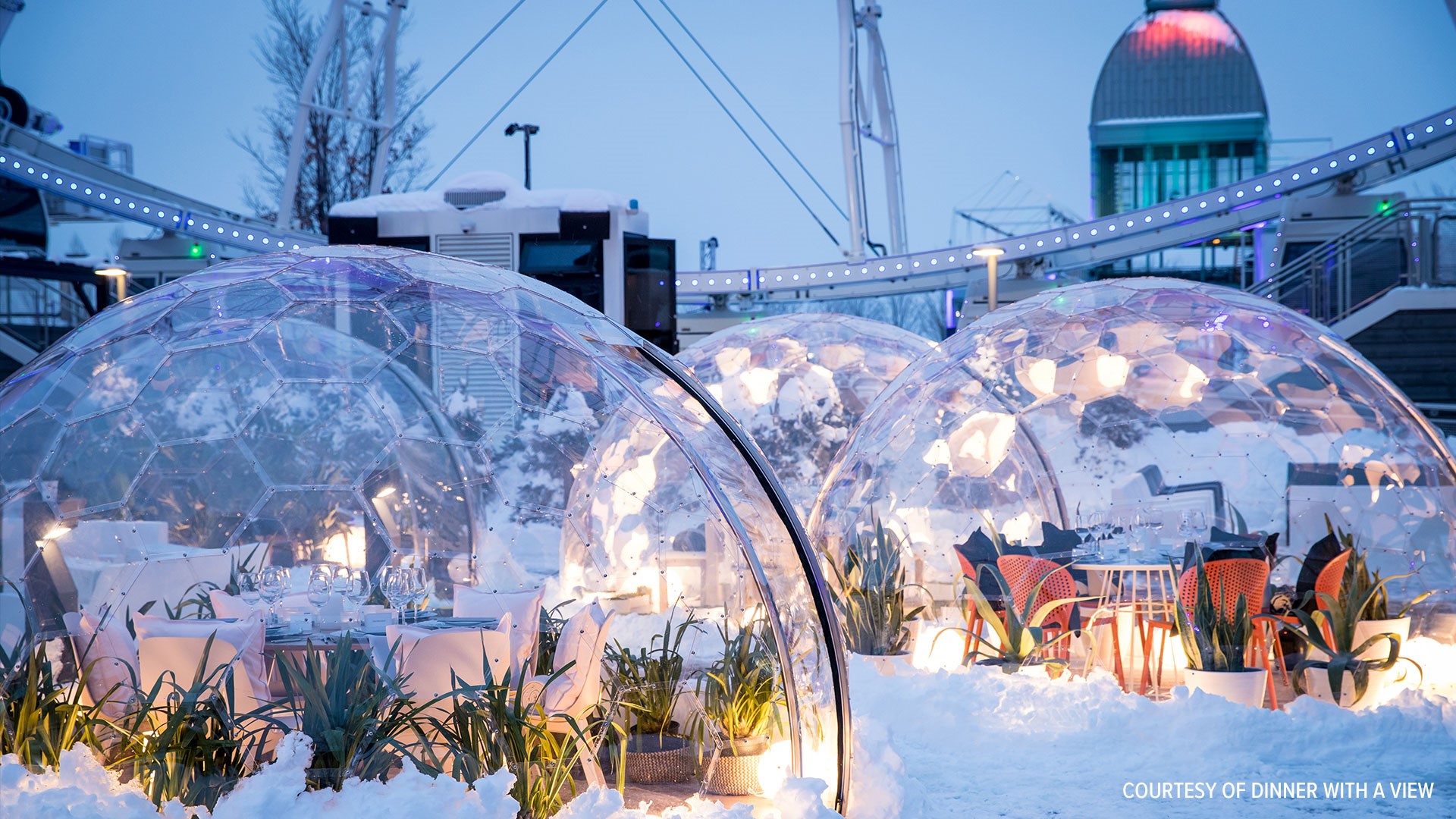 Behind the scenes with San Diego's 'Top Chef' serving dinner in domes ...