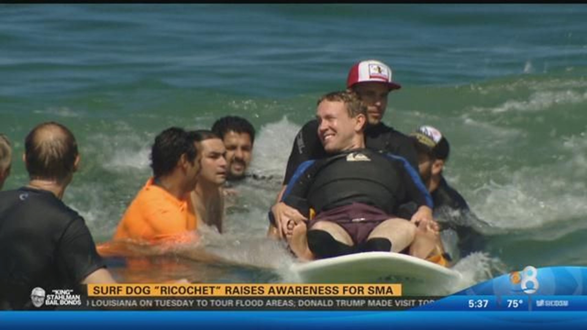 Surf dog Ricochet raises awareness for SMA | cbs8.com