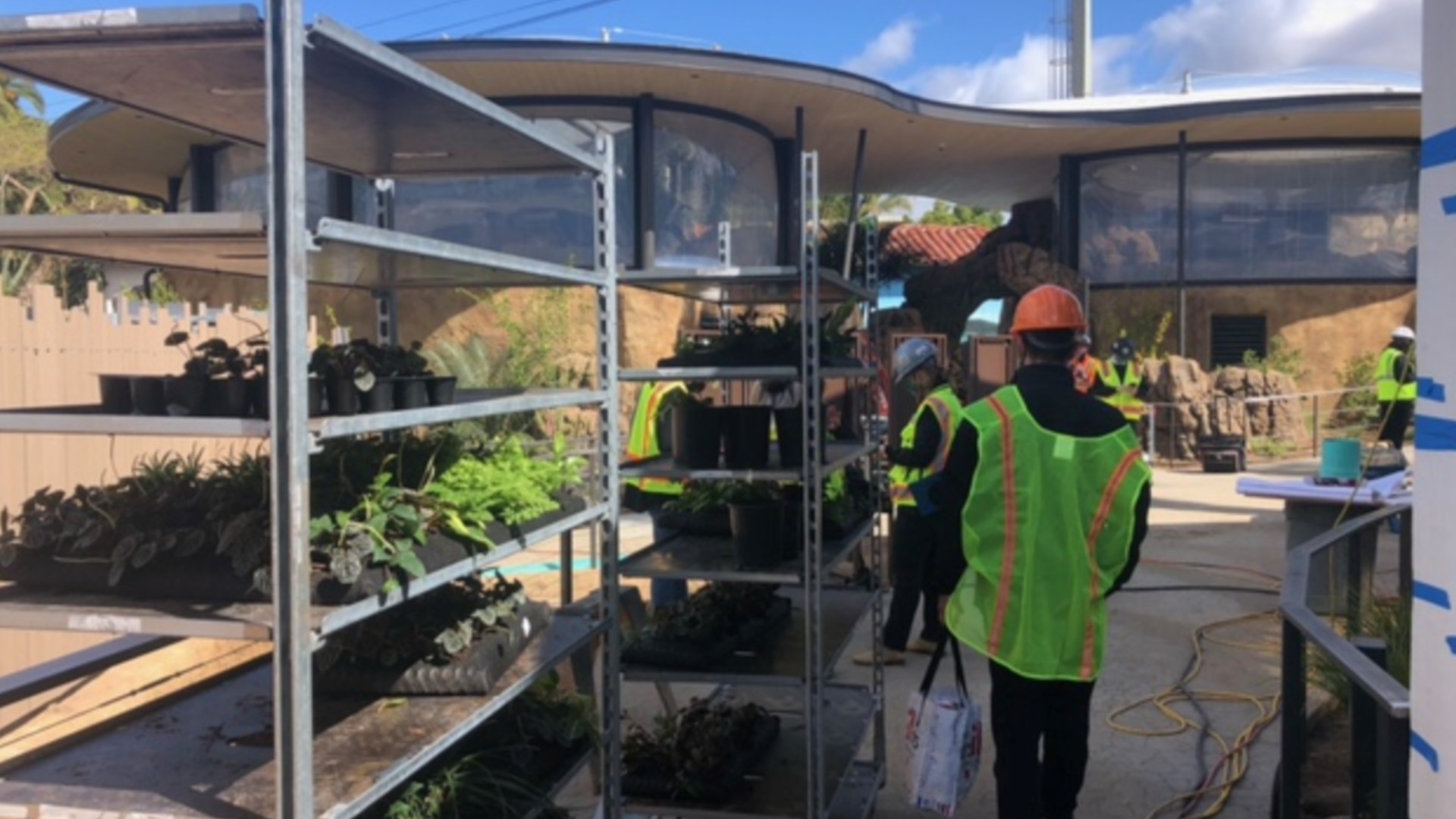 San Diego Zoo adds Komodo Dragons, hummingbird habitats | cbs8.com