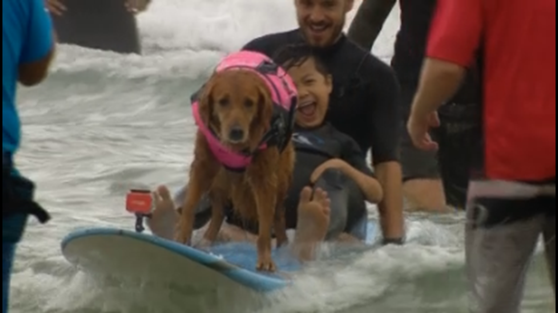 Surf dog Ricochet paddles out with kids suffering from spinal muscular ...