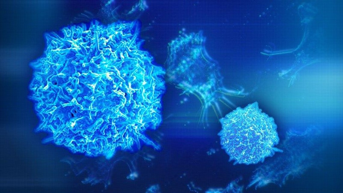 UC San Diego Health: Cancer cells can communicate with each other ...