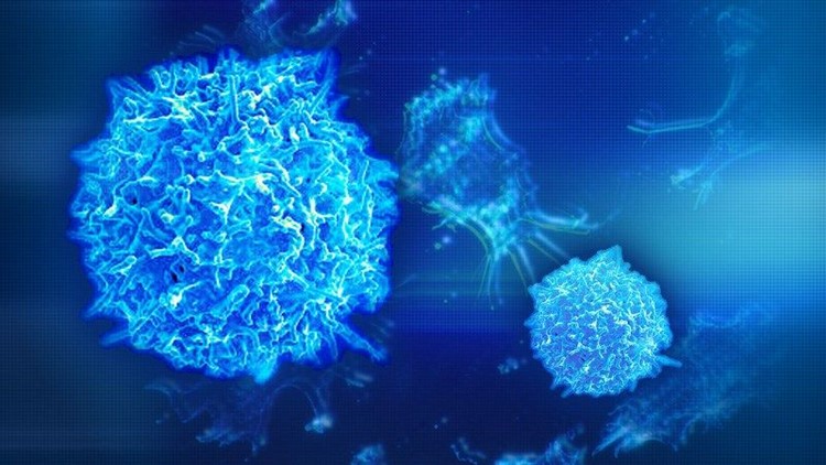 UC San Diego Health: Cancer cells can communicate with each other ...