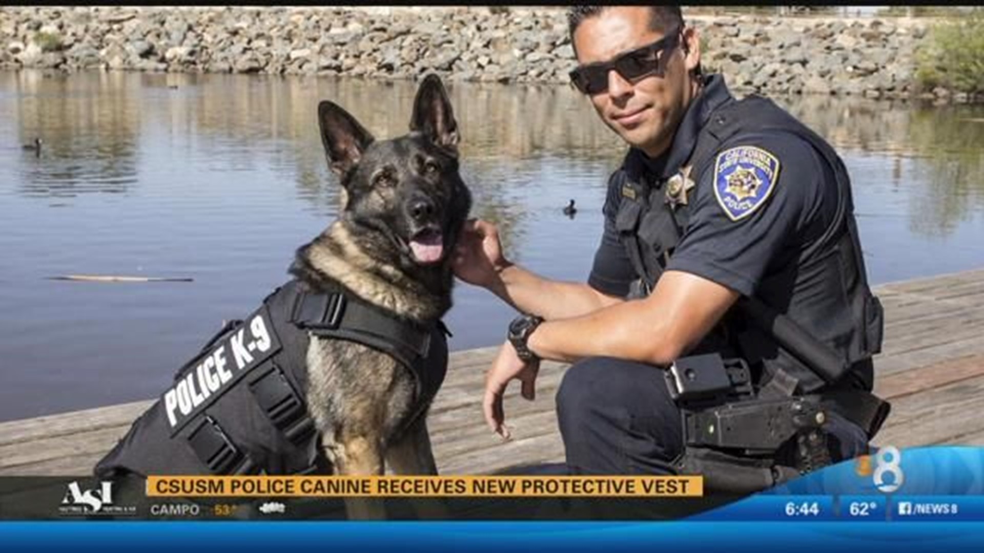 CSUSM police canine receives new protective vest | cbs8.com