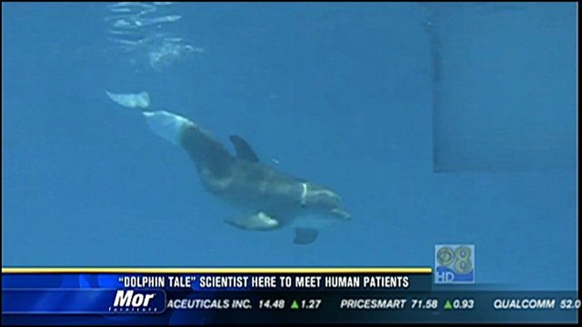 The real story behind "Dolphin Tale" | cbs8.com