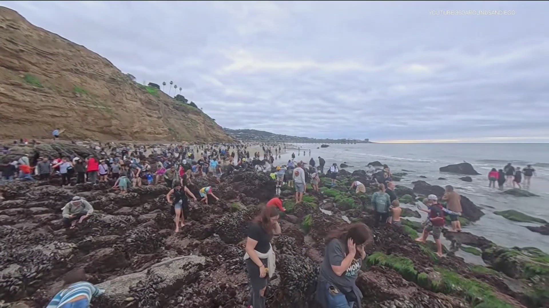 Crowds at San Diego tide pools ignore rules, disturb marine life during ...