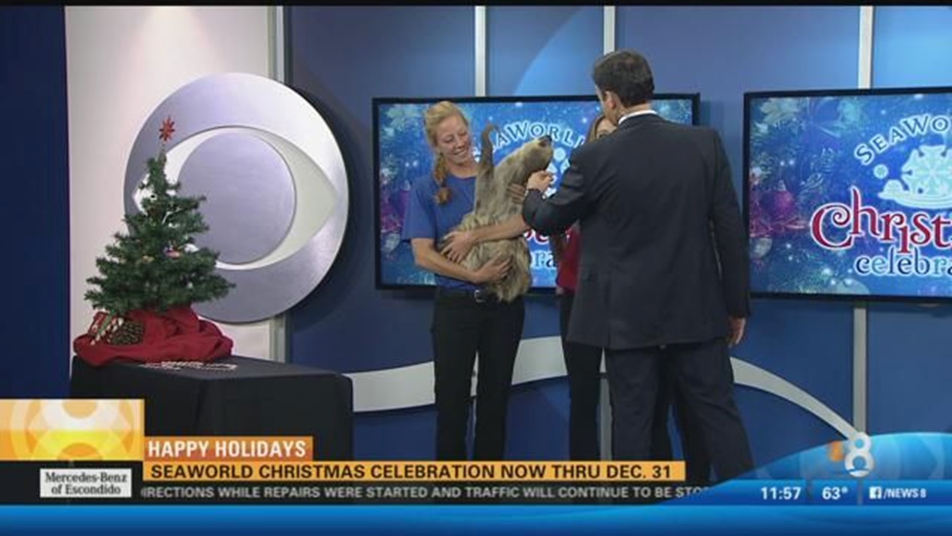 SeaWorld Christmas celebration now through December 31 | cbs8.com