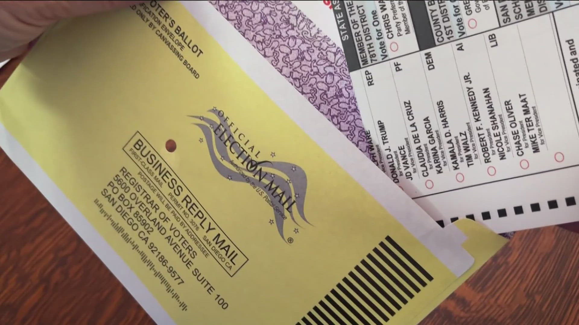 How to vote in San Diego's Supervisor election | cbs8.com