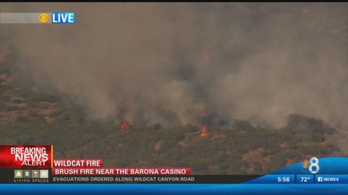 UPDATE Wildcat Fire: 171 acres burned, 100 percent contained | cbs8.com