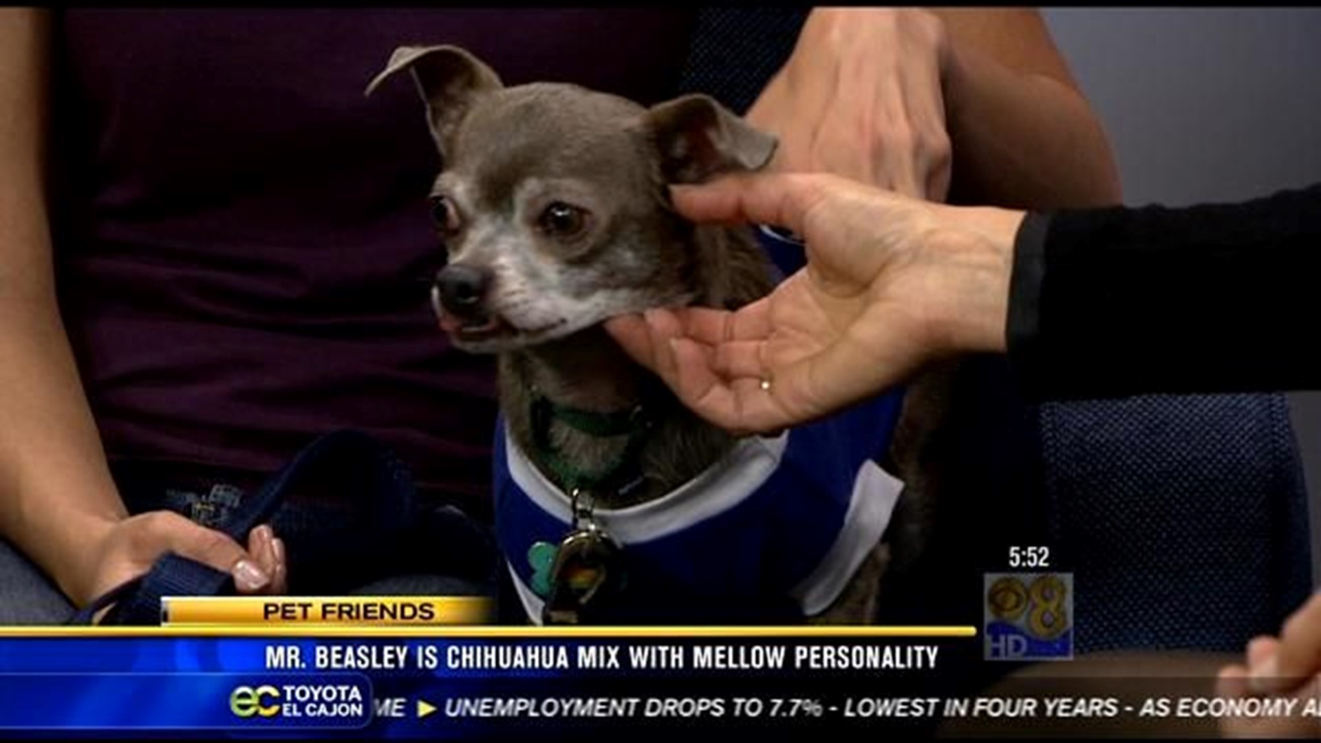 Mr. Beasley: Looking for new forever family | cbs8.com