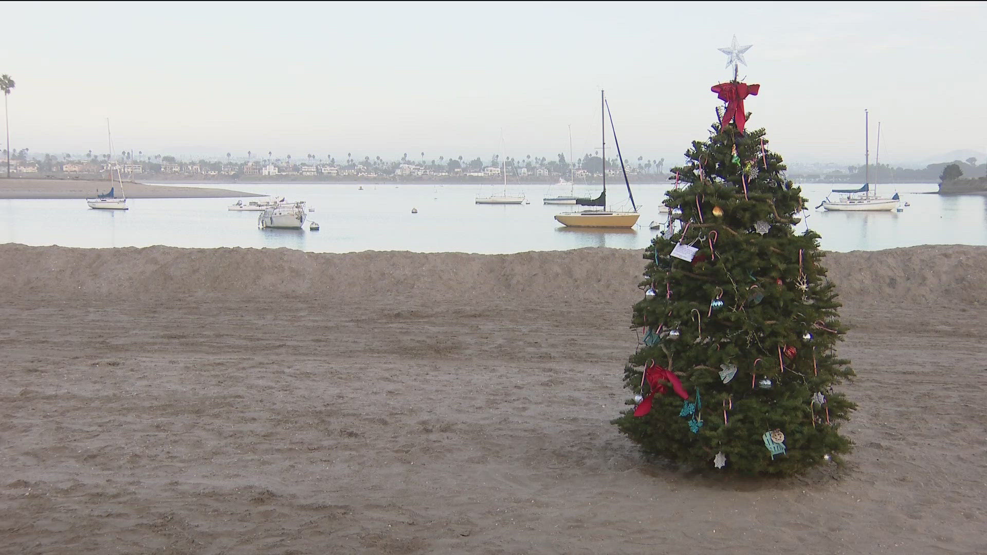 A Christmas tree on the beach bringing community together | cbs8.com