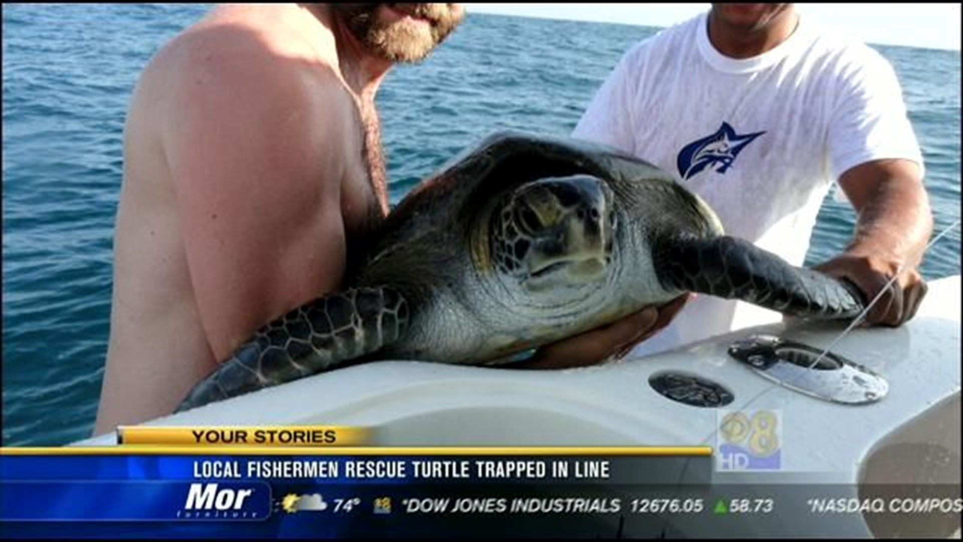Local fishermen rescue turtle trapped in line | cbs8.com