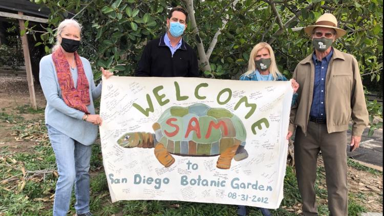 San Diego Botanic Garden's beloved tortoise, Sam, has passed away ...