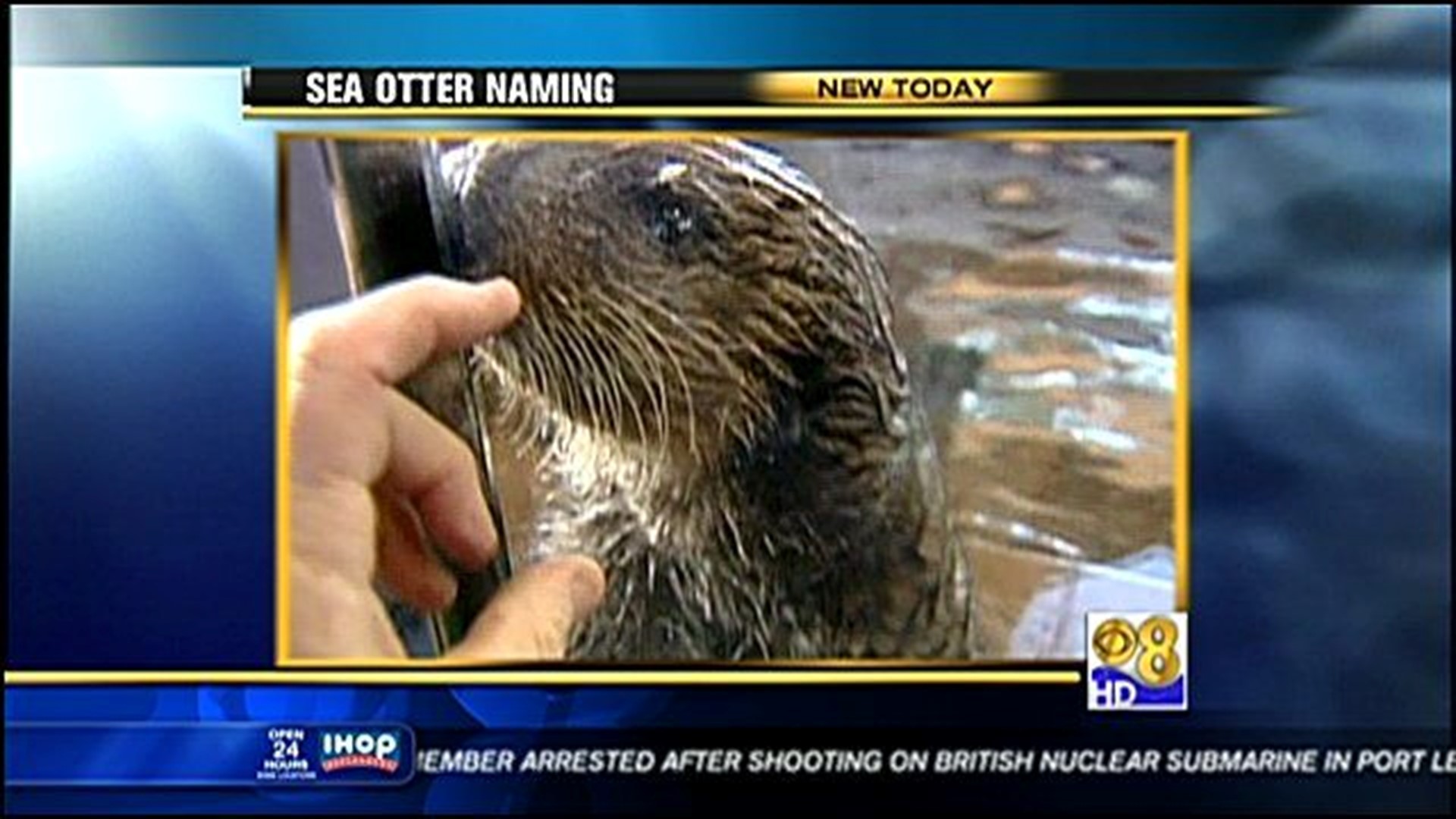 SeaWorld announces name of its rescued sea otter | cbs8.com