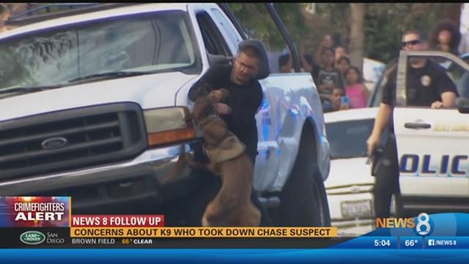 News 8 Follow Up: Concerns about K9 who took down chase suspect | cbs8.com