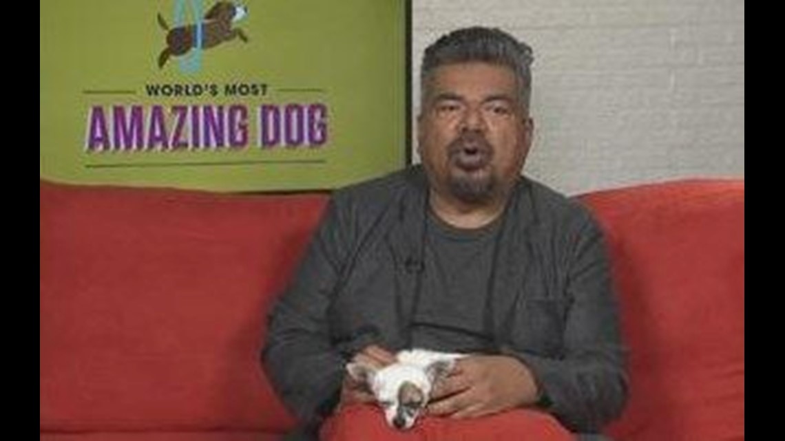 George Lopez on ‘World’s Most Amazing Dog’ | cbs8.com