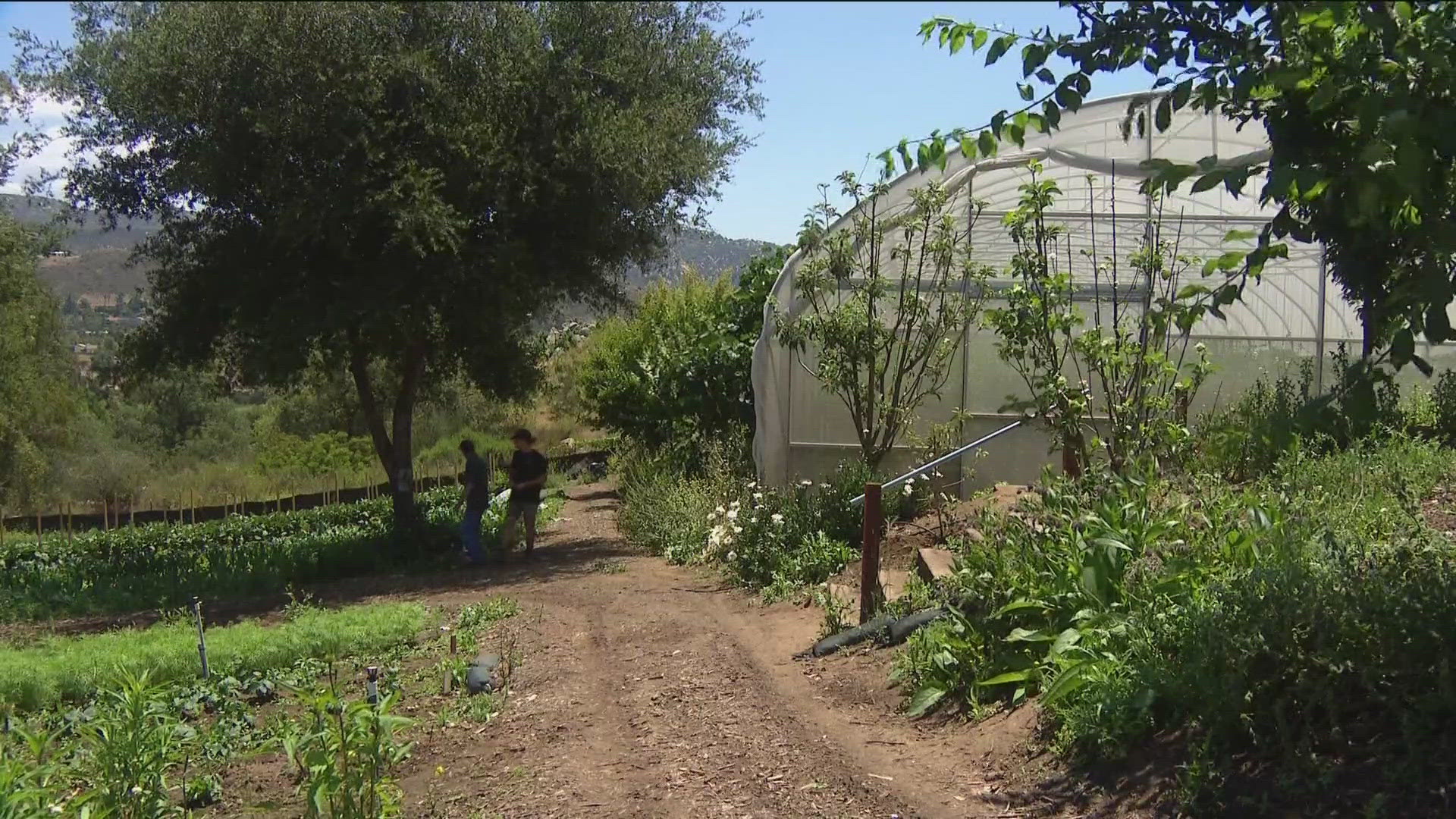 Sustainability at Sage Hill Ranch Gardens in Escondido, CA | cbs8.com