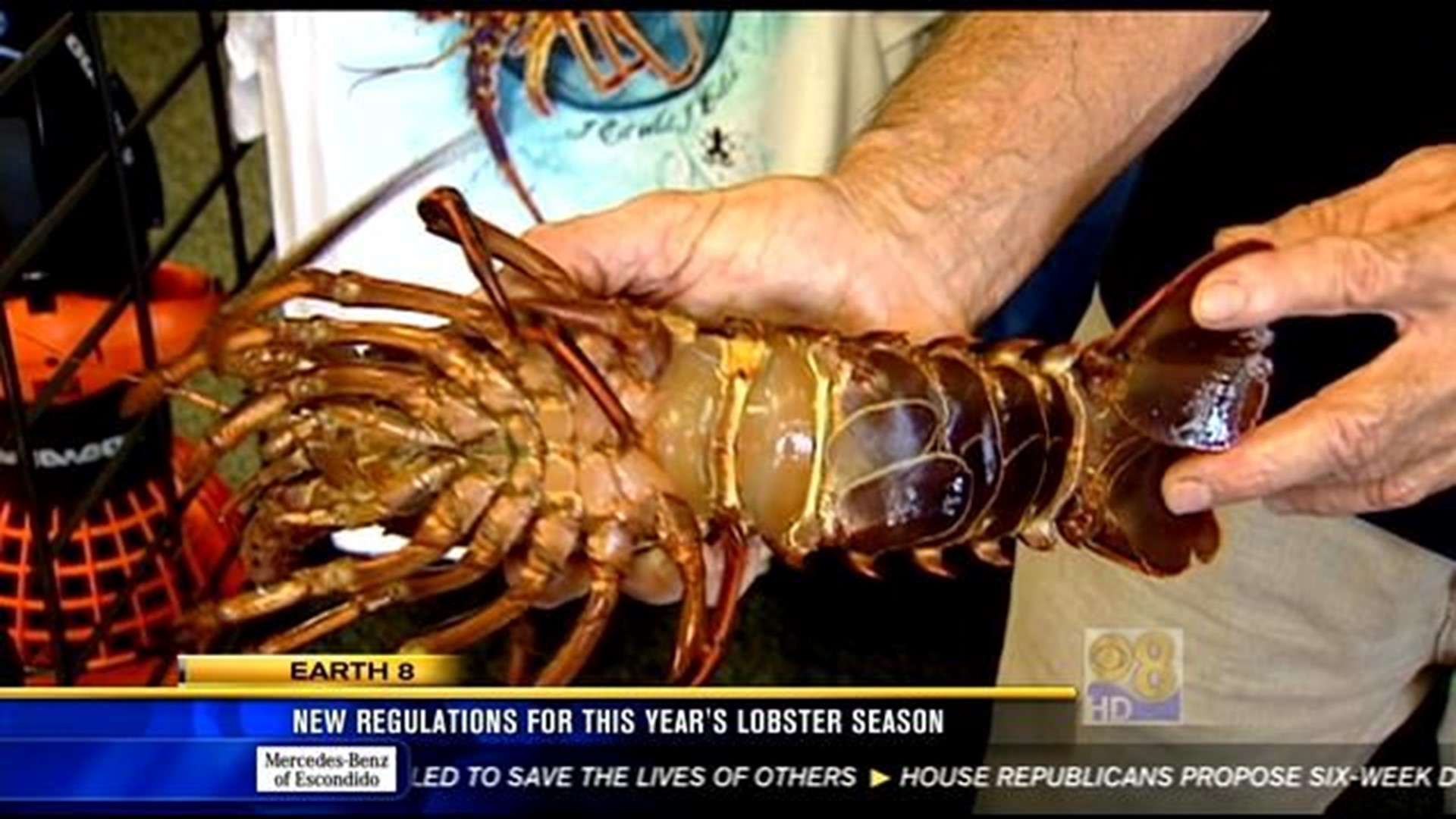 New regulations for this year's lobster season | cbs8.com