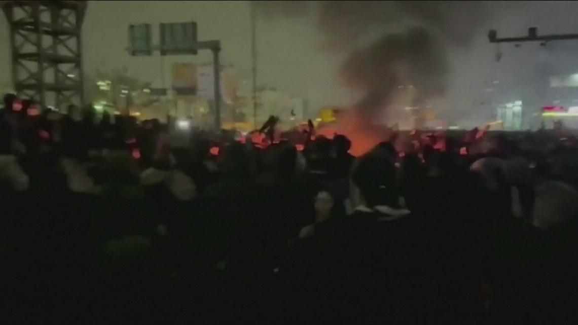 'Save This Life' pet microchip company shuts down | cbs8.com