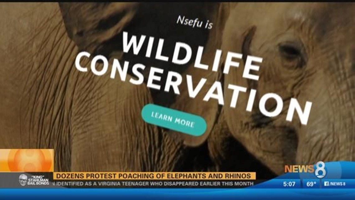 Dozens protest poaching of elephants and rhinos | cbs8.com