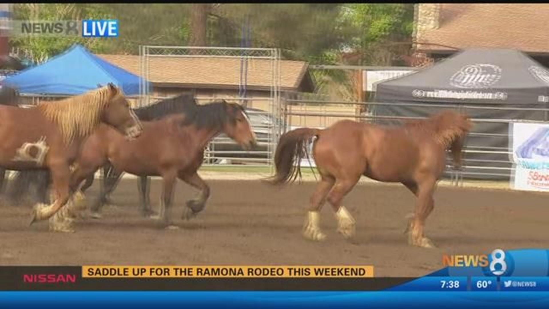 Saddle up for the Ramona Rodeo this weekend | cbs8.com