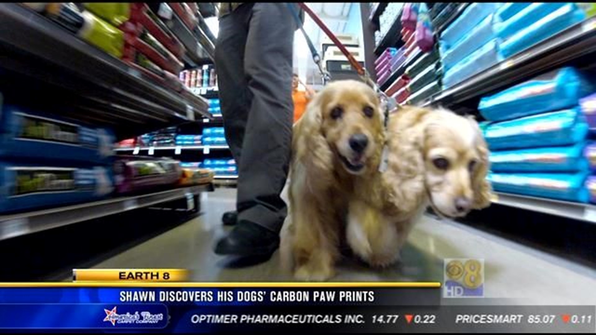 Shawn Styles discovers his dogs' carbon "pawprints" | cbs8.com