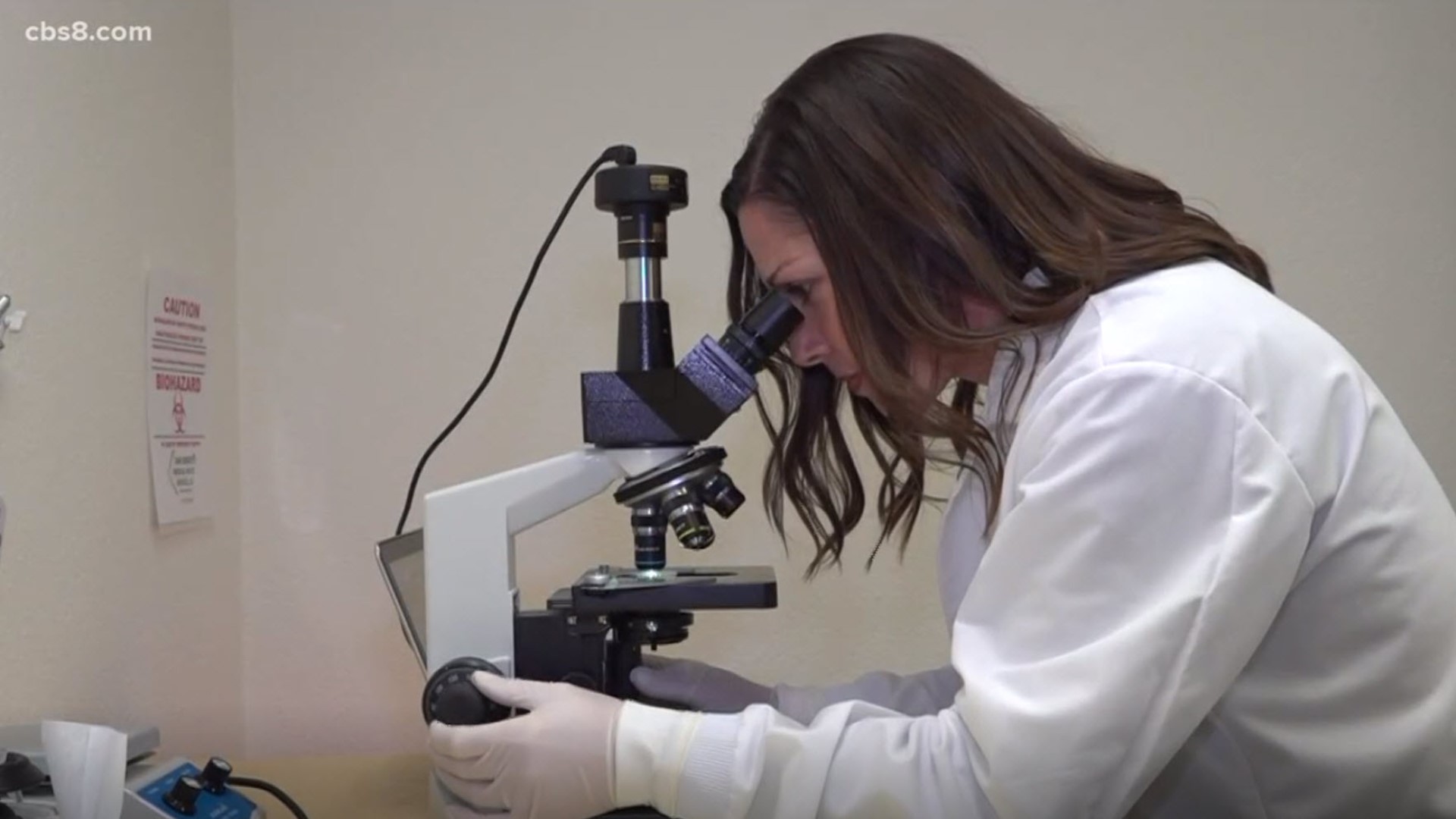 DNA expert testifies about history of evidence contamination in SDPD ...