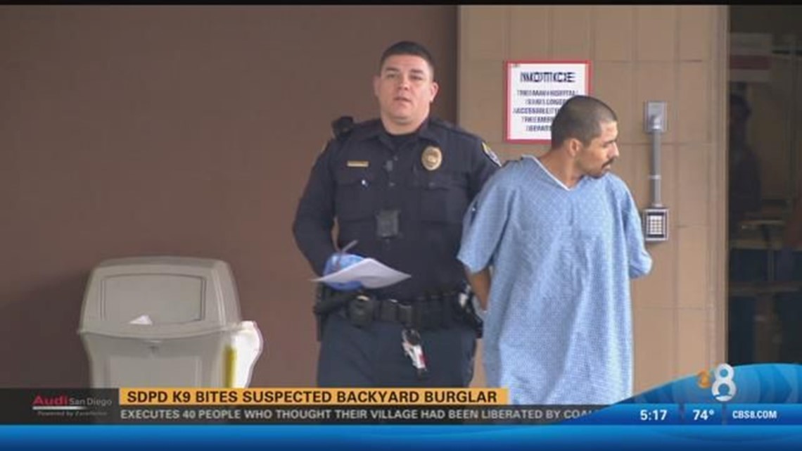 SDPD K9 bites suspected backyard burglar | cbs8.com