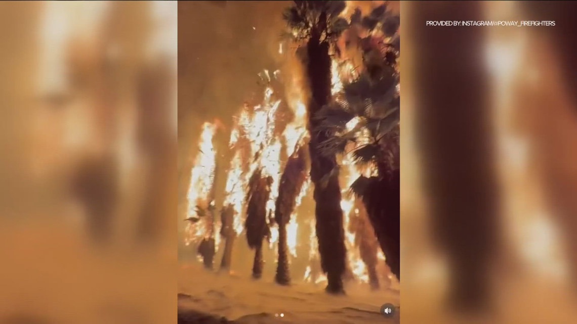 Video shows palm trees on fire in North County | cbs8.com