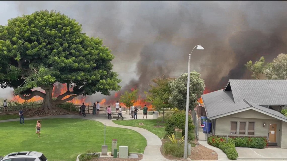 Man arrested on suspicion of arson in Carlsbad brush fire | cbs8.com