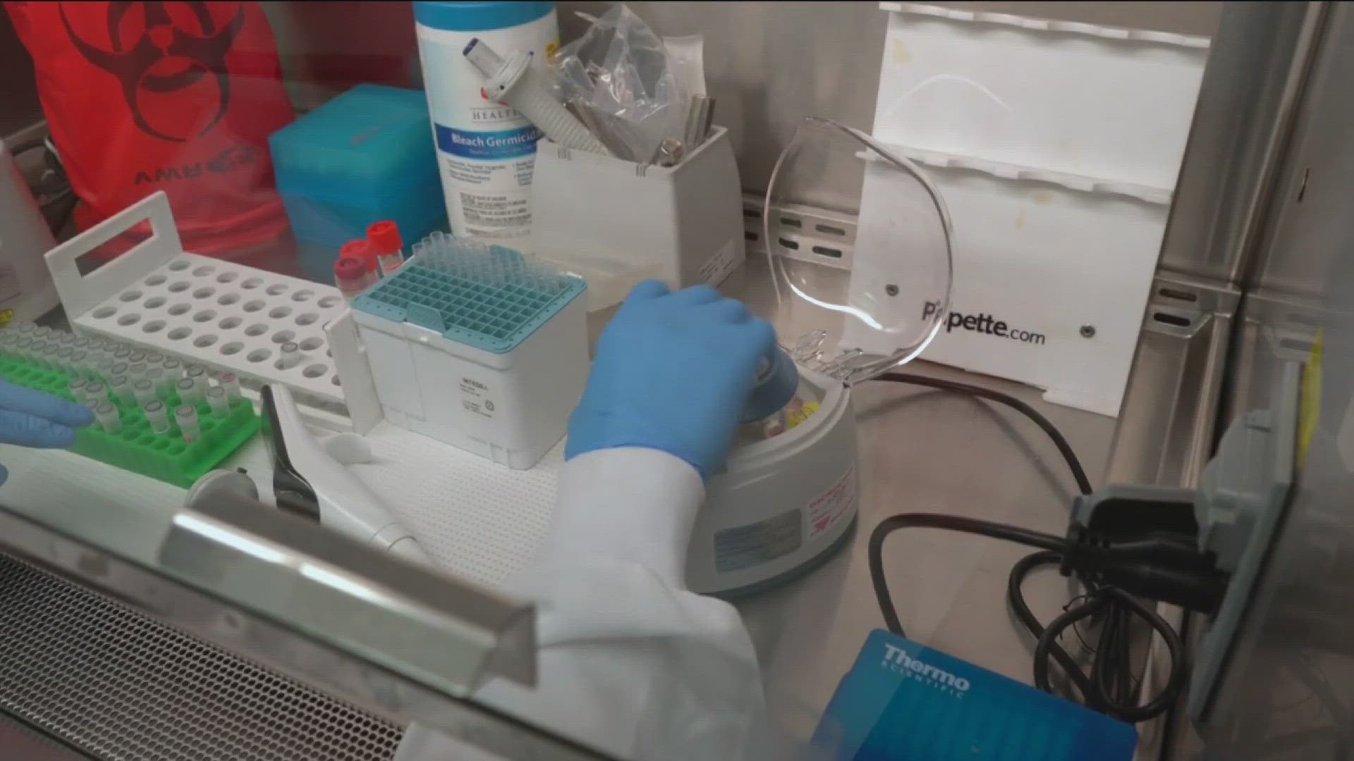 San Diego State received prestigious R1 classification | cbs8.com