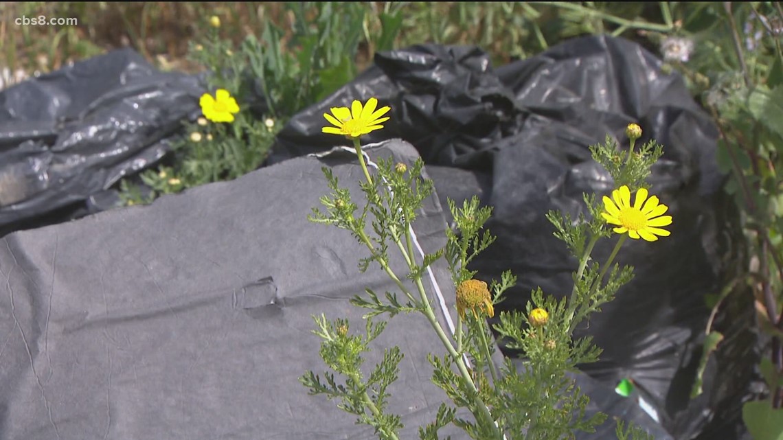 Freeway trash San Diego | cbs8.com