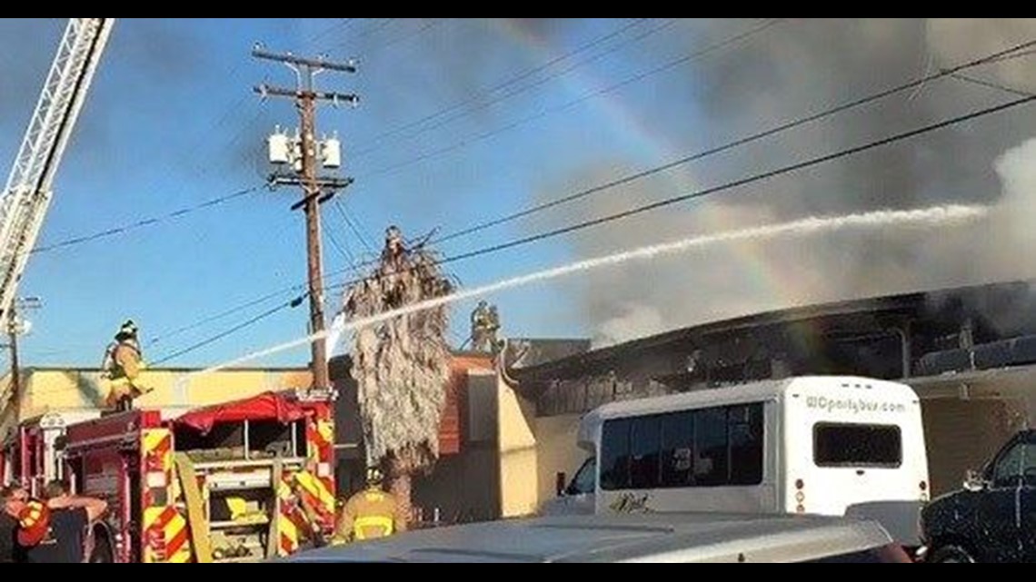 Marijuana plants found after massive warehouse fire | cbs8.com