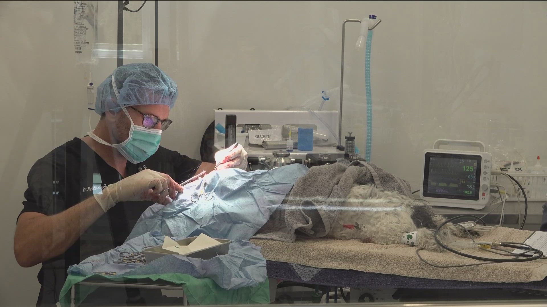 Frosted Faces Foundation opens new vet clinic | cbs8.com
