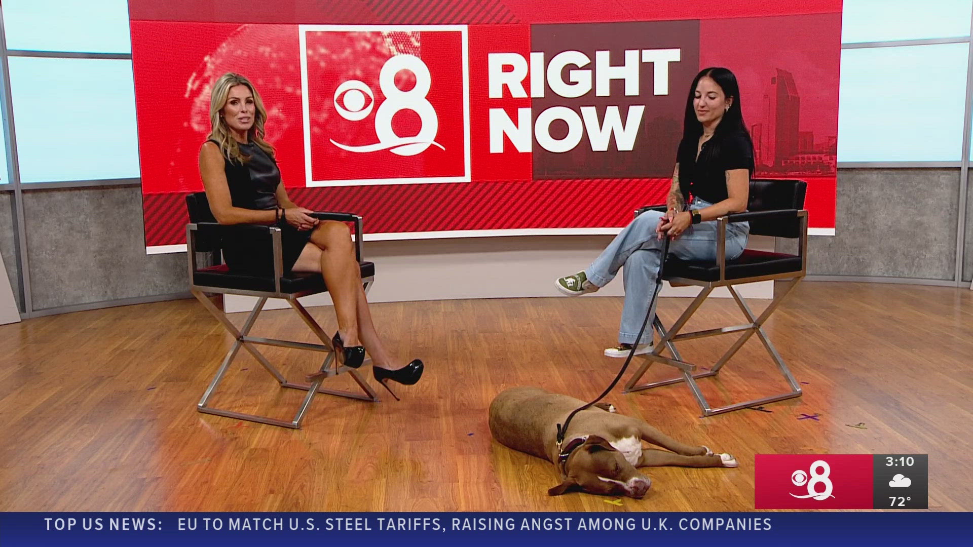 Nonprofit saves veterans, rescue dogs — one life at a time | cbs8.com