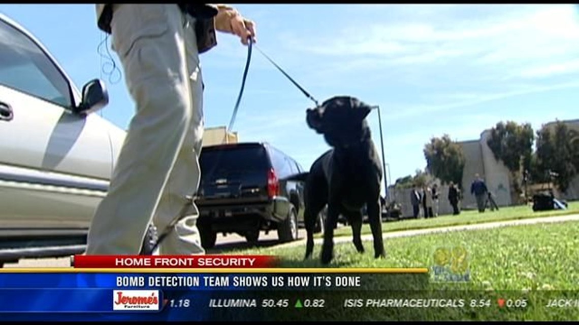 Bomb detection team shows us how it's done | cbs8.com
