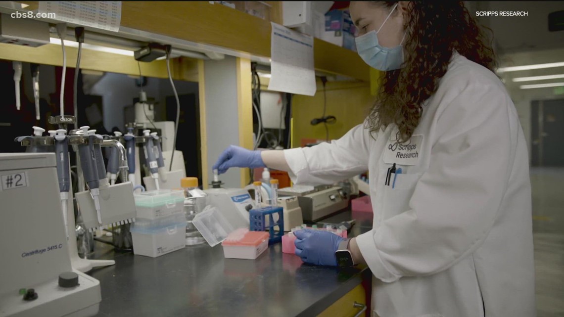 Scripps Research makes breakthrough in fighting future pandemics | cbs8.com