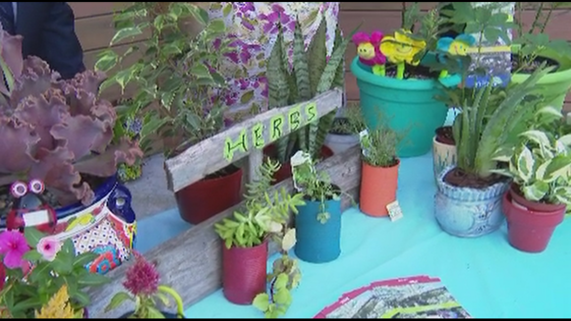 Celebrating 10 years of Ms. Smarty Plants | cbs8.com