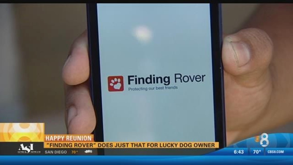 The Finding Rover app | cbs8.com