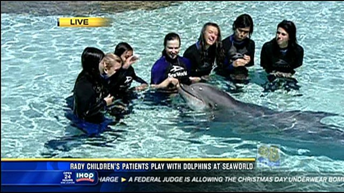 Rady Children's patients play with dolphins at SeaWorld | cbs8.com