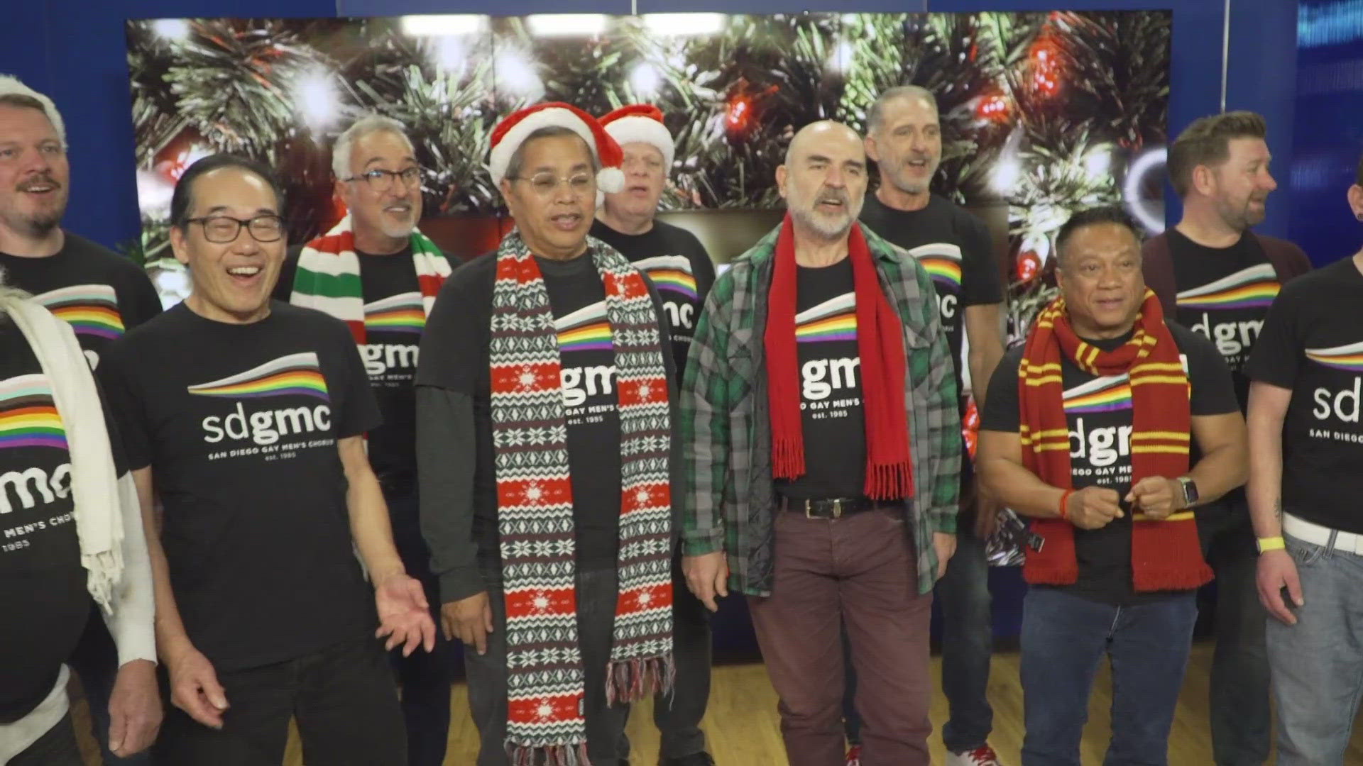 Rehabilitated hoary bat with tracking transmitter released in Southern ...