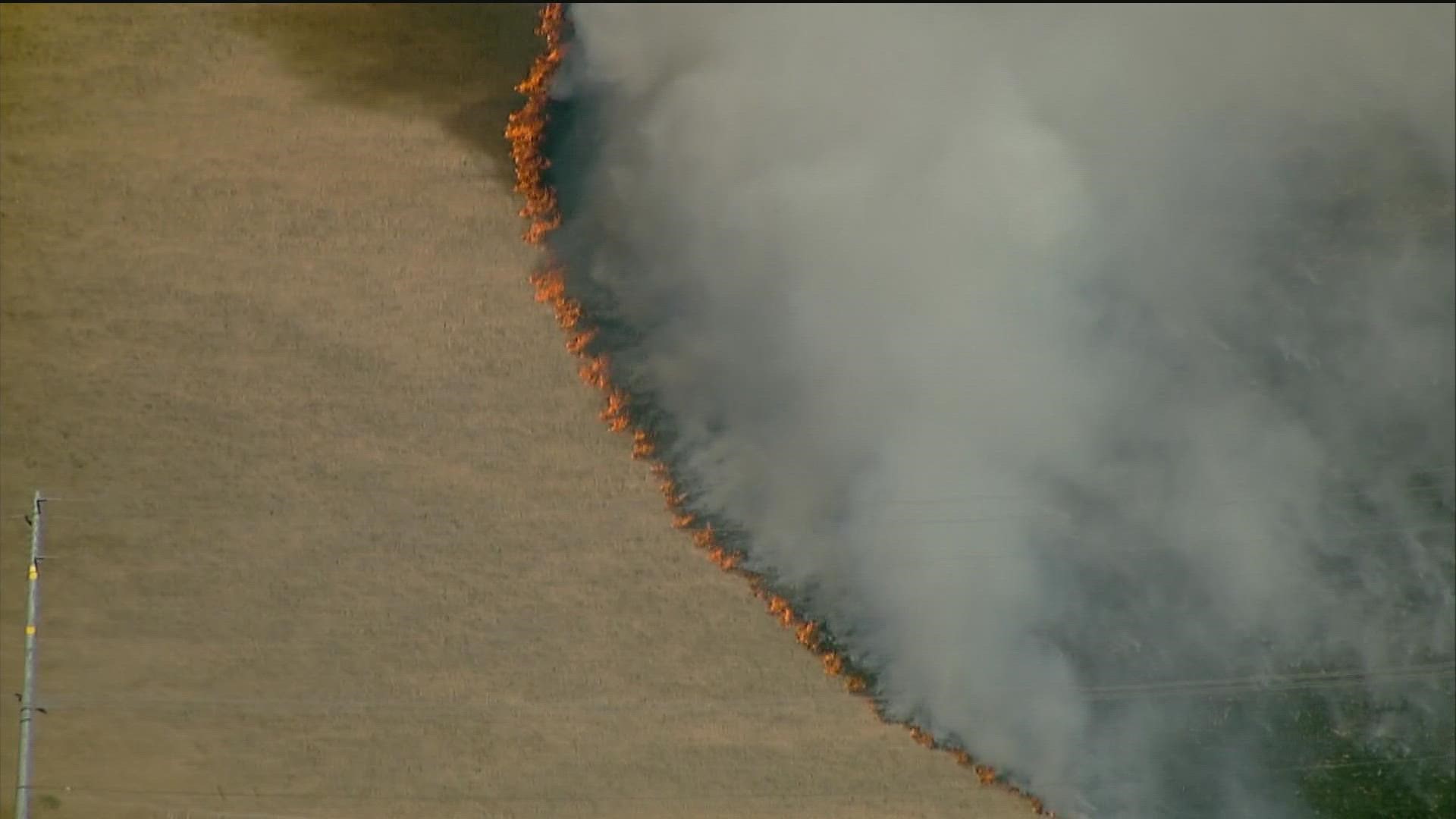 Cal Fire crews work to extinguish grass fire in Otay Mesa | cbs8.com