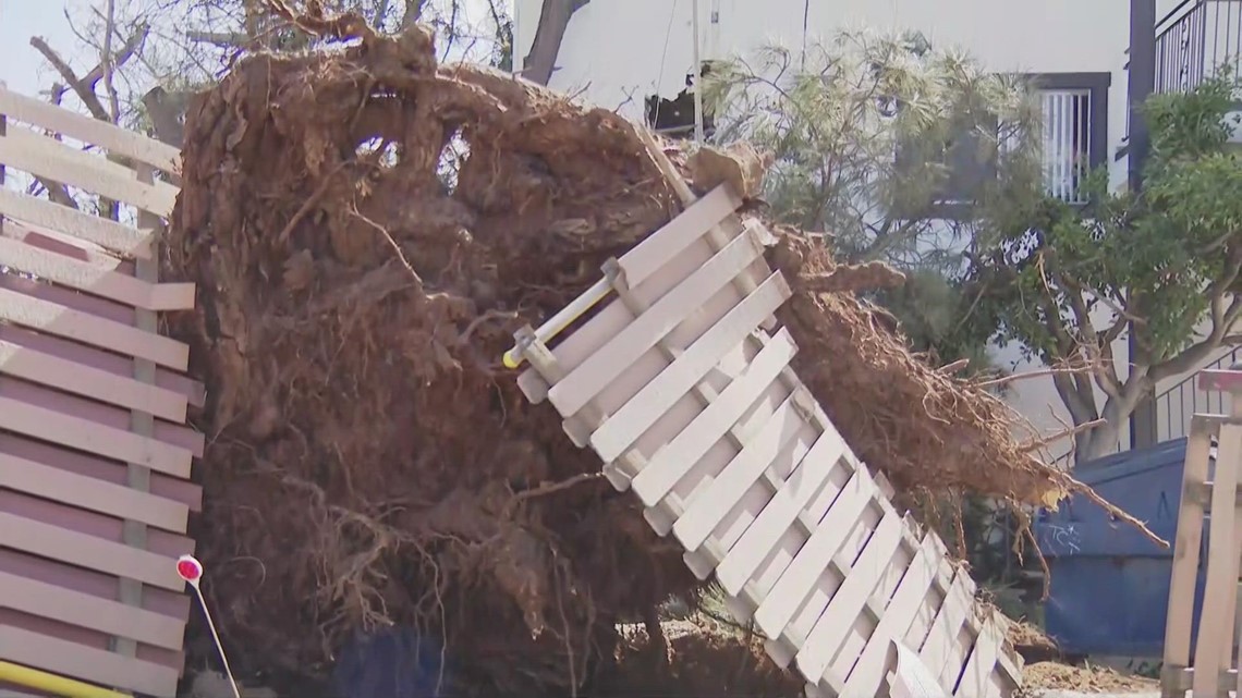 Winter storms wreaking havoc on San Diego; causing multiple downed ...