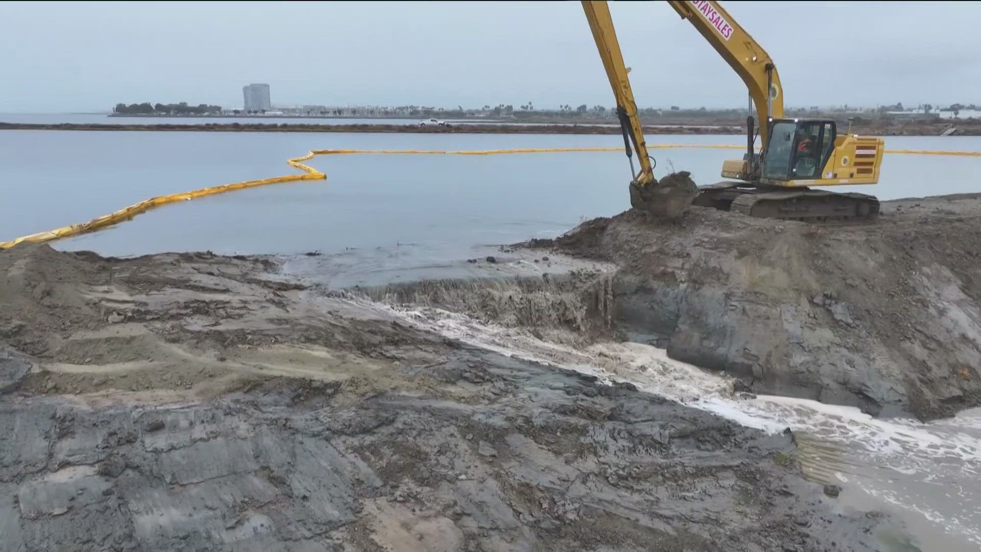 Huge milestone reached for wetland restoration in the South Bay | cbs8.com