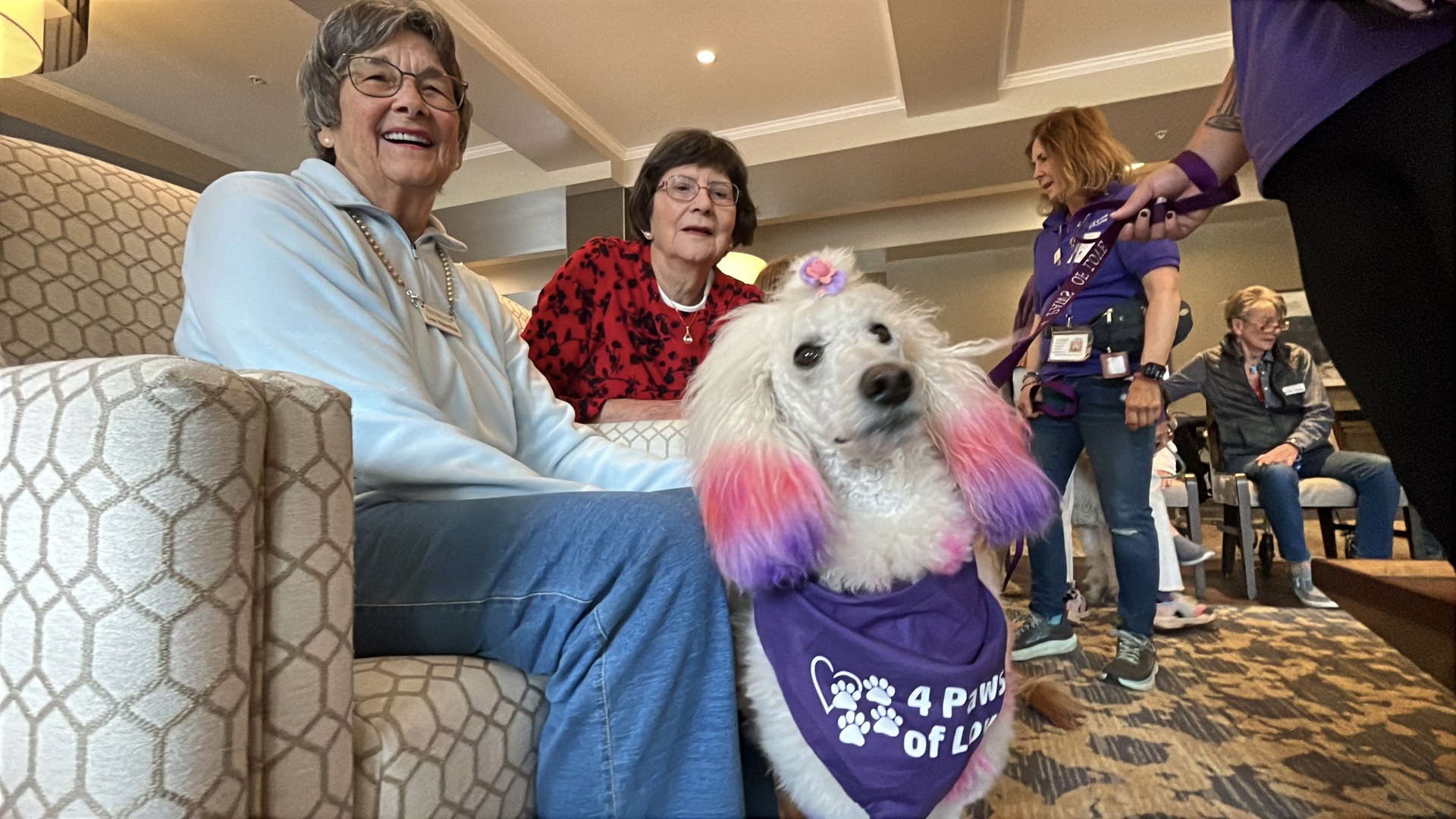 Therapy poodles bring joy to San Diego seniors | cbs8.com