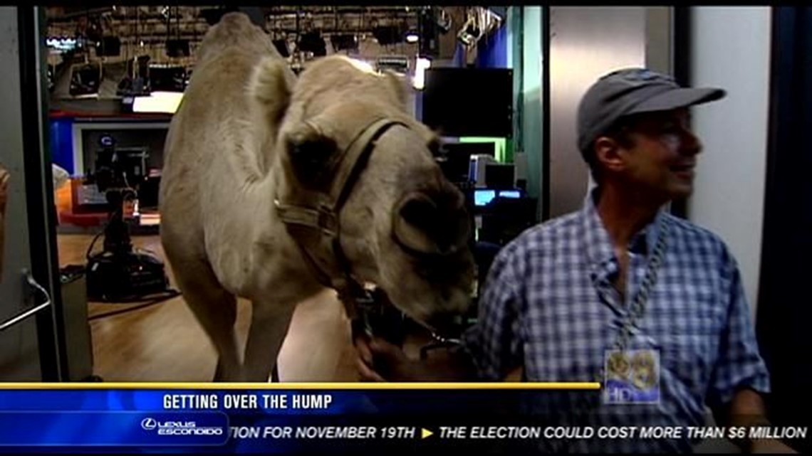 Getting over the hump | cbs8.com