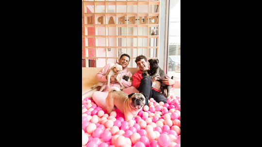 CuppaPug in Escondido caters to pug lovers | cbs8.com