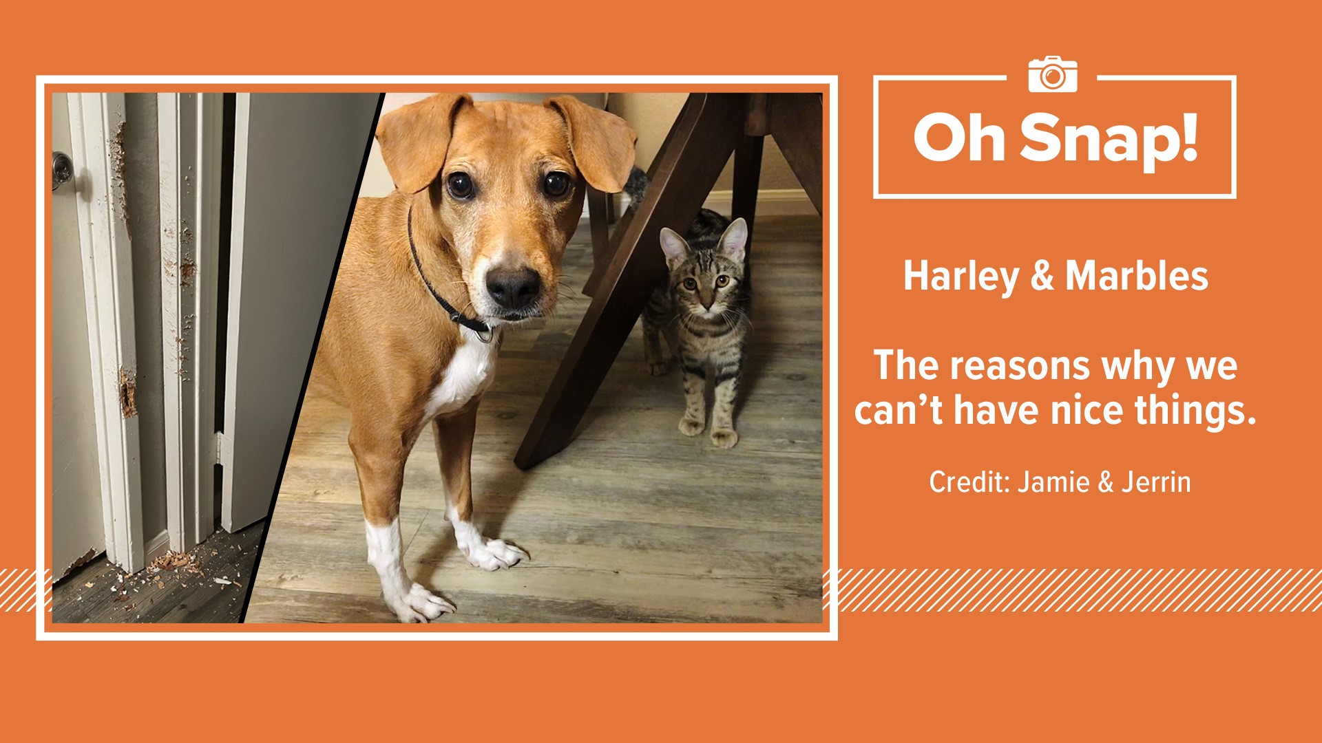 Oh Snap! Share your photos with CBS 8 | cbs8.com