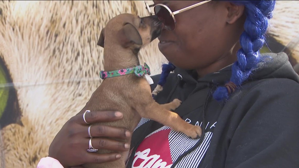 Helen Woodward gives sweaters to pets of homeless individuals | cbs8.com