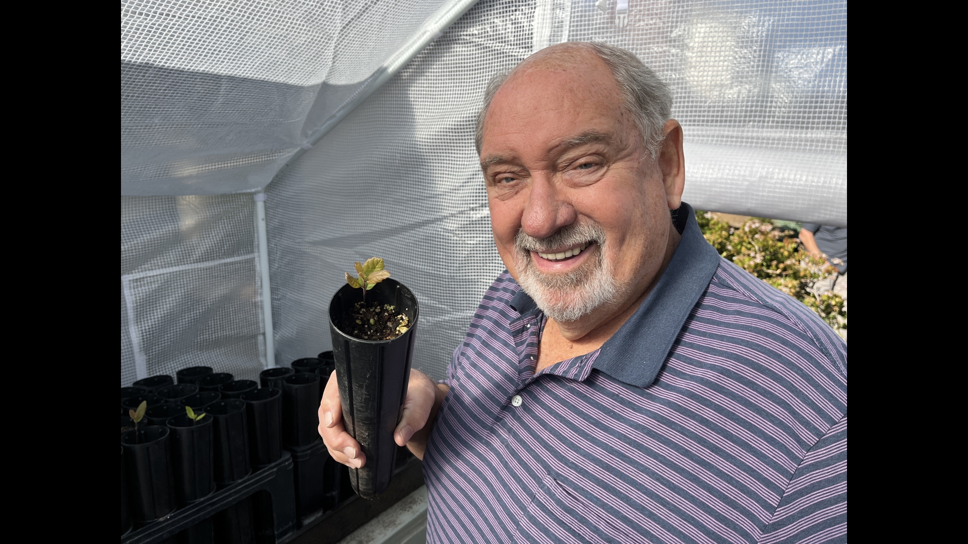 Escondido man's mission: Plant 20,000 oak trees | cbs8.com